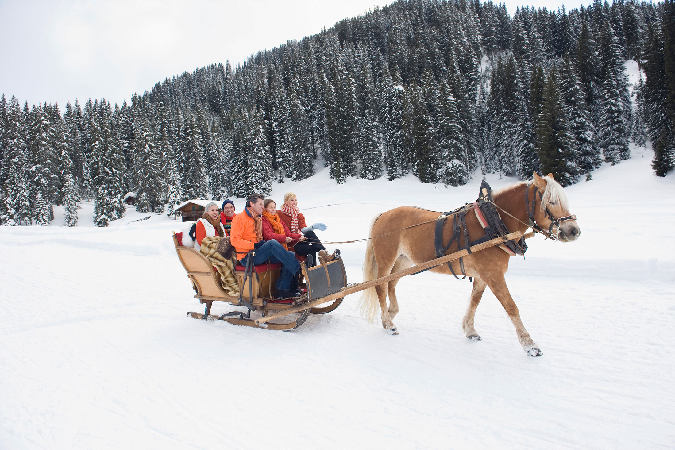 Schlitten Fahren Harz